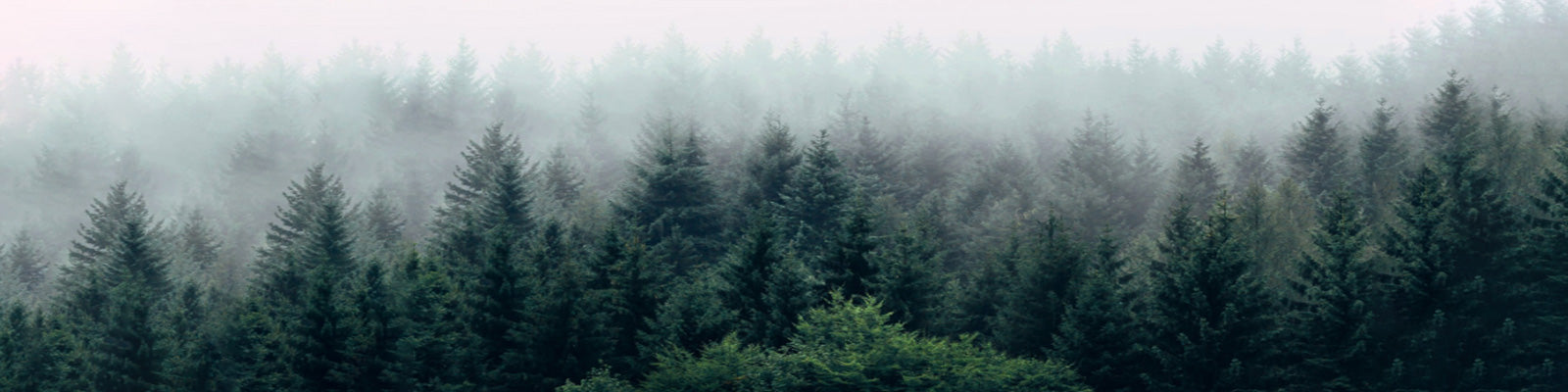 [FOREST CONSERVATION] Product List - Fabric Wholesale – STYLEM FABRIC ...